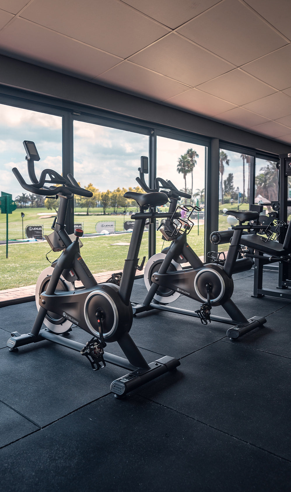 Skelcore | Protect Your Skeleton, Build Your Core.